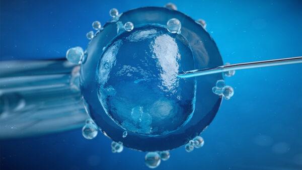 What Is ICSI and How It Improves IVF Success Rates | ICSI Treatment ...